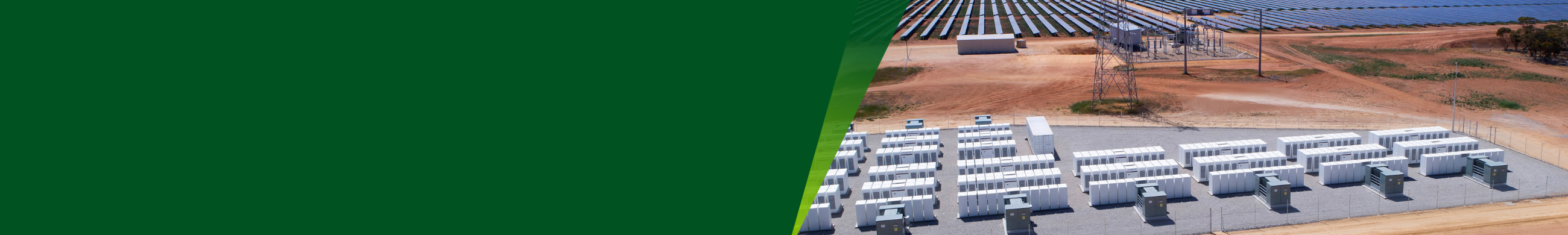 What we do | EnergyAustralia