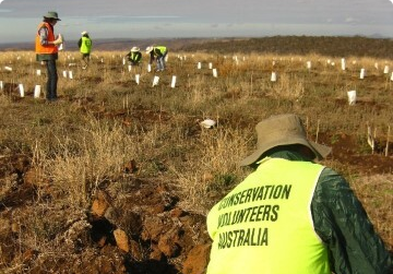 Our history | EnergyAustralia