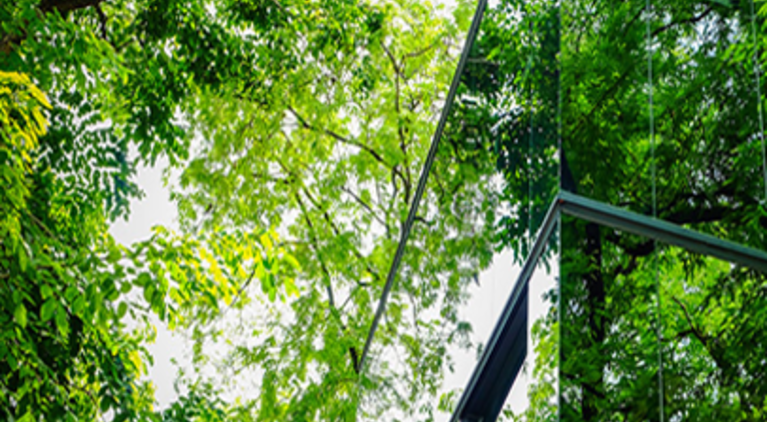 Light The Way - Brand Campaign Page | EnergyAustralia