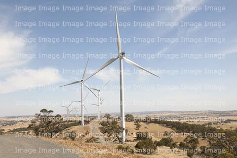 Images | EnergyAustralia